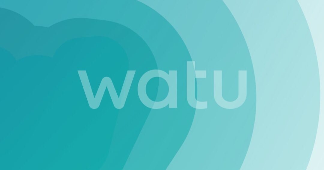 Questions rise over Watu Credit after employee left stranded with KSh ...
